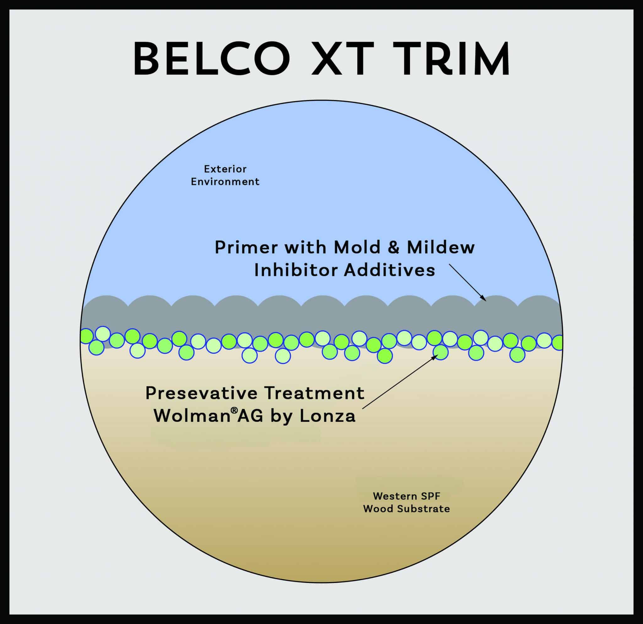 The Science Behind Wood Preservative Is Water Vapor Diffusion